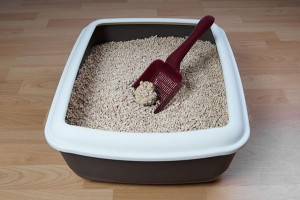 9 Best Cat Litter in the UK (2023) – Review & Buying Guide | PetMoneySaver