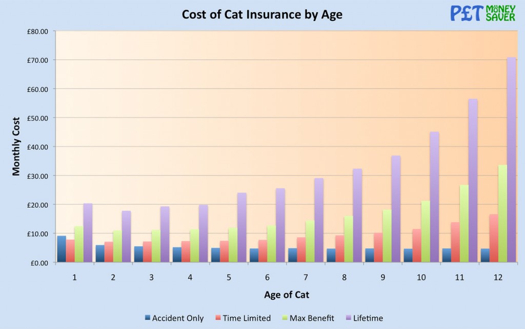 How Much is Cat Insurance? | PetMoneySaver
