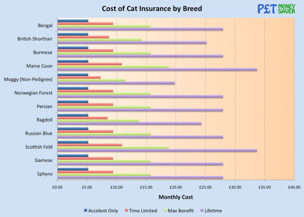 How Much is Cat Insurance? | PetMoneySaver